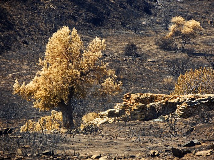 Foto Galerie - nARTur